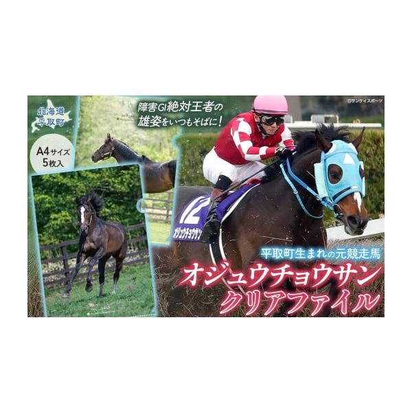 容量5枚発送期日原則、10日以内に発送しますが、注文殺到し在庫切れの場合は、１ヵ月程度お時間をいただきますのでご了承ください。配送常温 時間指定 別送事業者VERSAILLES STABLE 株式会社申込条件何度も申し込み可