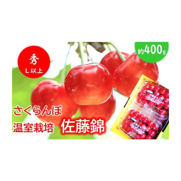 容量温室栽培さくらんぼ「佐藤錦」等級：秀容量：約400gサイズ：L以上消費期限到着次第、お早めにお召し上がりください。発送期日令和8年5月下旬〜6月中旬ごろに順次発送予定※生育状況により発送時期が前後する場合がございますので、お届け日の指定...