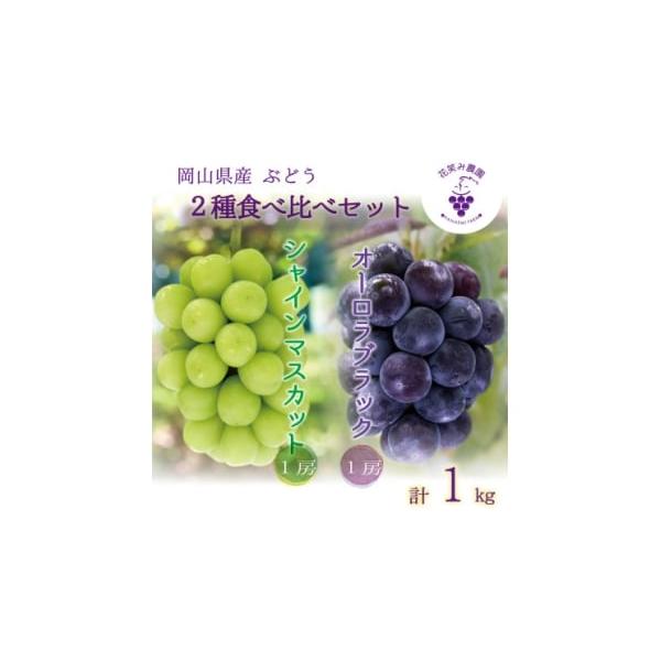 容量■お礼品の内容について・オーロラブラック1房、シャインマスカット1房[計1kg(2房)]原産地:岡山県■注意事項／その他・冷蔵庫で保管し、お早めにお召し上がりください。・小さなお子様には、食べやすいようにカットをお勧めします。※画像はイ...