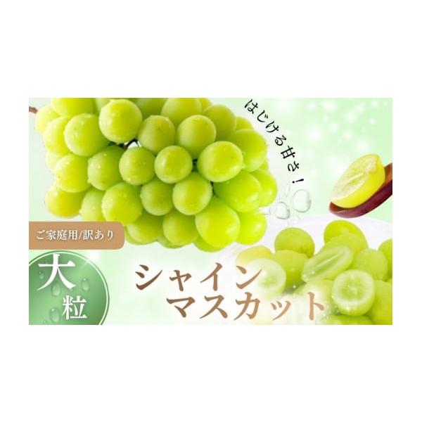 容量真庭市産　シャインマスカット　約1.0kg（1〜3房）※粒抜け等で房型は悪く贈答用にはなりませんが、味は特に変わりません。発送期日9月下旬〜12月お申し込み順にお届けします。※当該期間内に不在期間がある場合は、備考欄へその旨ご入力くださ...