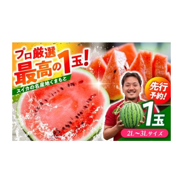 容量2L〜3Lサイズ（約7kg〜9kg） 1玉※サイズはお選びいただけません。【原料原産地】熊本県山鹿市消費期限【賞味期限】なるべく早めにお召し上がりください。発送期日ご入金確認後、【2026年】4月末〜6月中旬にかけて順次発送いたします。...