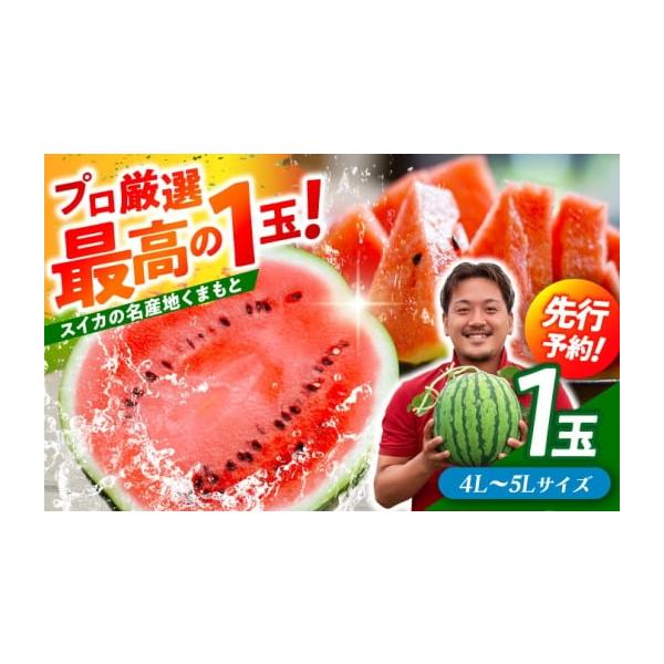 容量4L〜5Lサイズ（約9kg〜11kg） 1玉※サイズはお選びいただけません。【原料原産地】熊本県山鹿市消費期限【賞味期限】なるべく早めにお召し上がりください。発送期日ご入金確認後、【2026年】4月末〜6月中旬にかけて順次発送いたします...