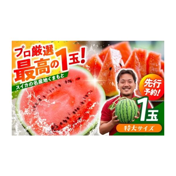 容量特大サイズ 1玉（約11kg以上）※サイズはお選びいただけません。【原料原産地】熊本県山鹿市消費期限【賞味期限】なるべく早めにお召し上がりください。発送期日ご入金確認後、【2026年】4月末〜6月中旬にかけて順次発送いたします。＊本返礼...