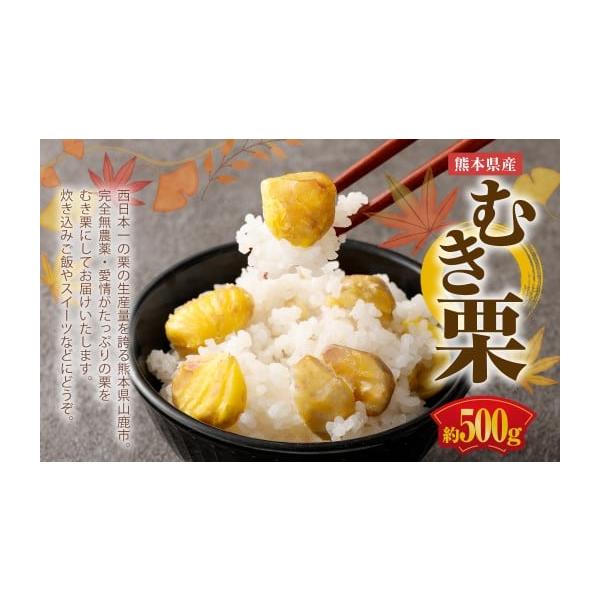 容量約500g消費期限賞味期限：収穫後から180日間発送期日2025年11月下旬〜2026年3月下旬にかけて順次発送予定配送冷凍 時間指定 別送申込期日〜2026年3月15日まで寄附受付事業者すみれファーム申込条件何度も申し込み可