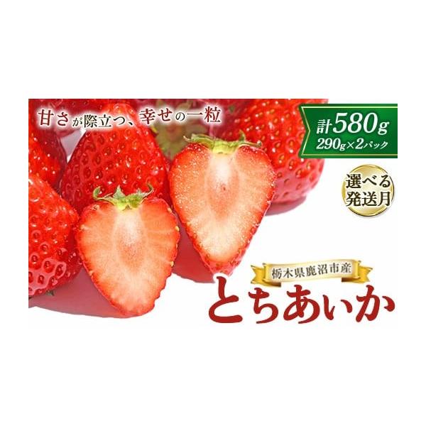 容量とちあいか 290g×2p(580g)発送期日・1月発送：2026年1月上旬〜1月下旬頃に順次発送・2月発送：2026年2月上旬〜2月下旬頃に順次発送・3月発送：2026年3月上旬〜3月下旬頃に順次発送・4月発送：2026年4月上旬頃に...