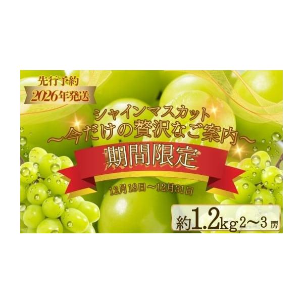 容量シャインマスカット約1.2kg（2~3房）消費期限到着後はなるべくお早めにお召し上がりください発送期日2026年8月下旬より準備出来次第発送いたします。（商品をお届けする日付指定はお受け致しかねますので、予めご了承ください。）【ご注意】...