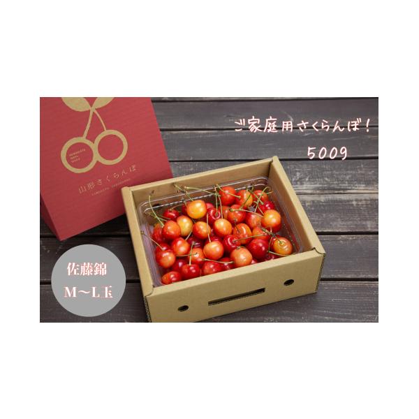 容量ご家庭用：約500g(L・ M玉混合品：バラパック詰め)消費期限2〜3日程度発送期日2026年6月中旬〜6月25日まで配送冷蔵 のし 時間指定 別送申込期日2026年6月15日まで事業者有限会社 仲野観光果樹園申込条件何度も申し込み可