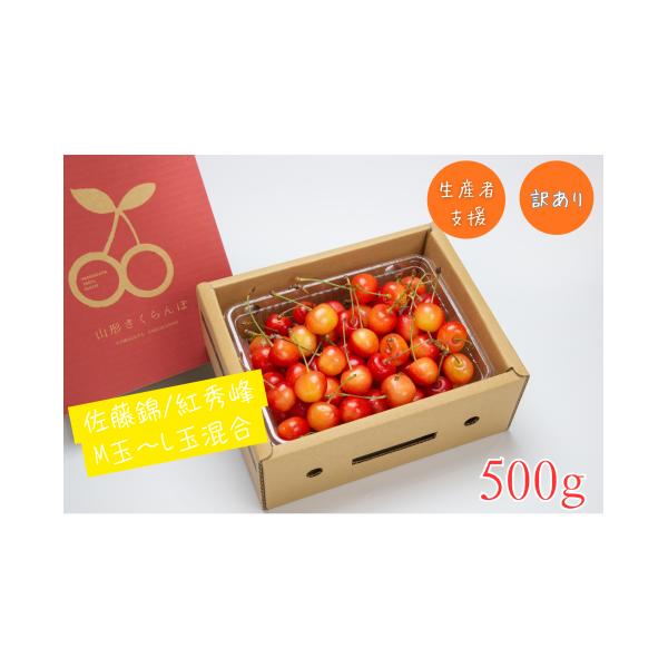 容量訳あり：約500g(L・ M玉混合品：バラパック詰め)消費期限2〜3日程度発送期日2026年6月中旬〜7月上旬まで配送冷蔵 のし 時間指定 別送申込期日2026年6月15日まで事業者有限会社 仲野観光果樹園申込条件何度も申し込み可