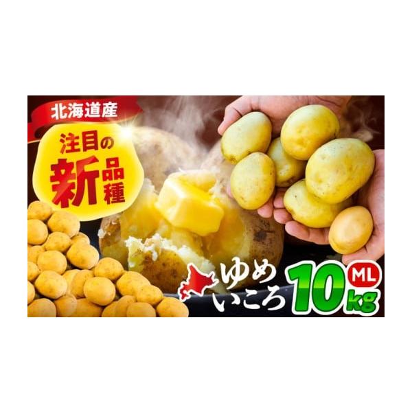 容量Mサイズ〜Lサイズ：計10kg【原料原産地】足寄町産【加工地】足寄町消費期限【賞味期限】約1カ月 ※日の当たらない、涼しい所で保管してください。発送期日12月上旬〜翌年3月下旬まで※2月以降にお申込みいただいた場合、お申込み日程によって...