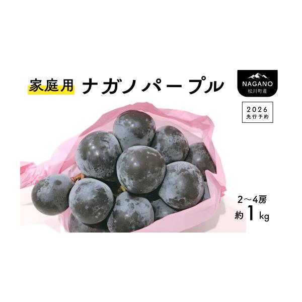 容量【先行予約】2026年発送【家庭用】約1kg（2〜4房）※大きさで房数は異なります。房数の指定はお受けできません。消費期限涼しい場所に保管し、なるべくお早めにお召し上がりください。発送期日2026年9月上旬〜中旬頃（予定）お申込み順に発...