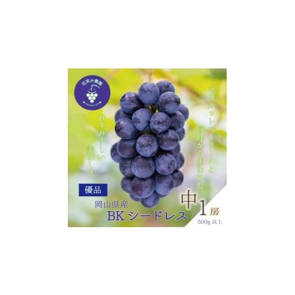 容量■お礼品の内容について・BKシードレス[500g以上(1房)]原産地:岡山県■注意事項／その他・冷蔵庫で保管し、お早めにお召し上がりください。・小さなお子様には、食べやすいようにカットをお勧めします。※画像はイメージです。〜アフターフォ...