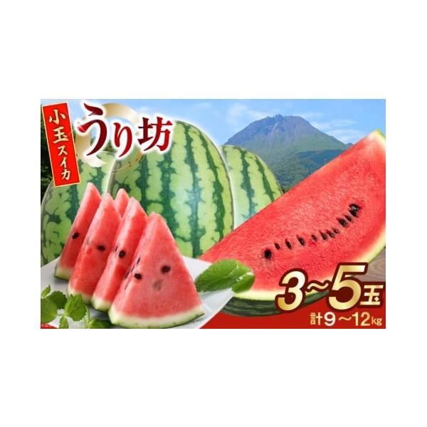容量小玉スイカ （うり坊） 3〜5玉 計9〜12kg■原産地 長崎県島原市消費期限完熟での収穫発送の為、到着後早めにお召し上がりください。発送期日2026年5月後半〜2026年6月前半において順次発送※申込期日：2026年5月15日（決済確...