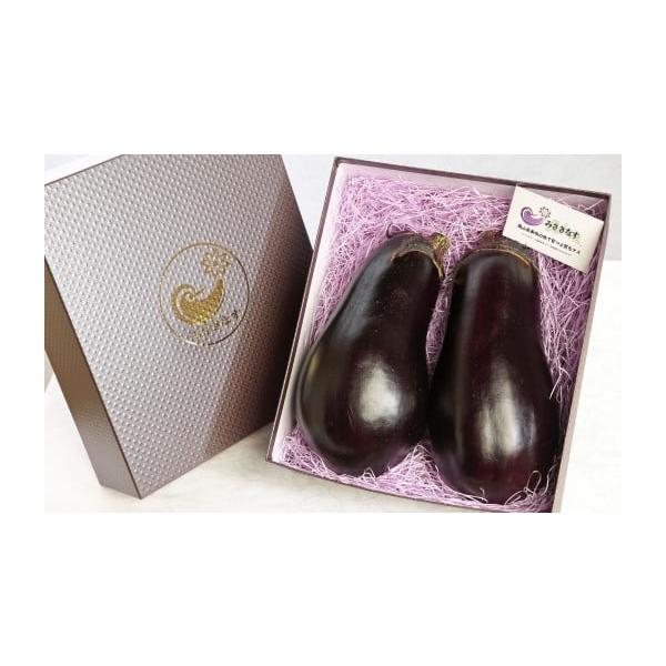 容量みさきなす 2個(約1.9kg前後)消費期限【賞味期限】発送日から冷蔵7日発送期日2026年8月上旬〜2026年9月下旬発送予定。配送冷蔵 時間指定 別送申込期日2026年8月31日まで寄附受付事業者樫本 輝美(カッシーファーム)申込条...