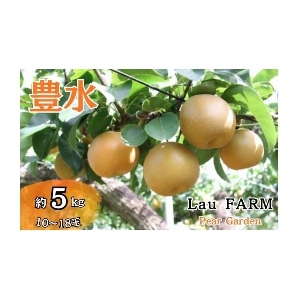 容量約5kg（ 10〜18玉）発送期日ご寄付納入確認後、8月下旬から9月中旬にかけて順次発送いたします。※配送期日（曜日）指定はできませんのでご了承ください。※天候や収穫状況によりお届けが遅れたり、早まる場合があります。天候不順などで手配で...