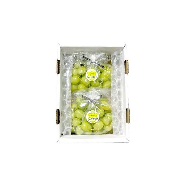 容量摘み落とし：1kg以上消費期限賞味期限：発送日から約5日発送期日2026年9月上旬〜10月上旬発送予定※天候や発送状況により多少前後する場合がございますので、予めご了承ください。配送冷蔵 時間指定 別送申込期日2026年9月25日まで寄...