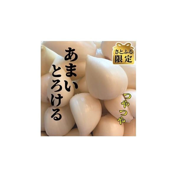 容量■お礼品の内容について・白玉王(むき)[1.3kg]原産地:青森県十和田市消費期限■賞味期限:出荷日+7日発送期日〜2026／02／28　※離島にはお届けできません。配送冷蔵 別送申込期日〜2026-01-31事業者青森にんにくファーム...