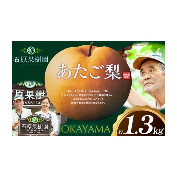 容量約1.3kg(1玉)消費期限お早めにお召し上がりください。発送期日2026年11月中旬-12月下旬頃出荷配送常温 時間指定 別送申込期日11月中旬頃まで(予定数量に達し次第終了)事業者石原果樹園申込条件何度も申し込み可