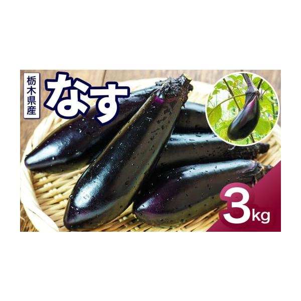 容量約3kg消費期限お早めにお召し上がりください。※直射日光、高温多湿を避けて保存。※寒さと乾燥が苦手なので冷蔵庫の野菜室または風通しの良いところで保存。発送期日寄付入金後、約1ヶ月前後で発送いたします。（出荷対応時期：10月〜6月）※収穫...