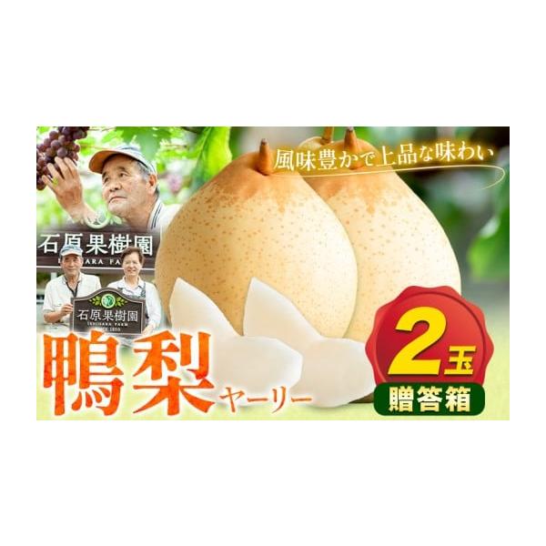 容量2玉消費期限お早めにお召し上がりください。発送期日11月中旬-12月下旬頃出荷配送常温 時間指定 別送申込期日11月上旬頃まで事業者石原果樹園申込条件何度も申し込み可