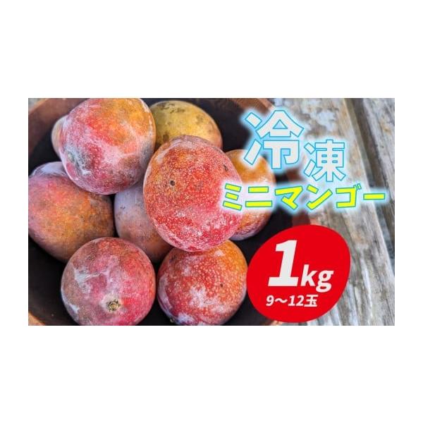 容量冷凍ミニマンゴー1kg（500g×2袋）消費期限賞味期限　商品到着後は冷凍庫で保管し、なるべくお早めにお召し上がりください。発送期日寄付受付から1ヶ月〜2ヶ月配送冷凍 別送申込期日通年事業者久米島赤鶏牧場申込条件何度も申し込み可