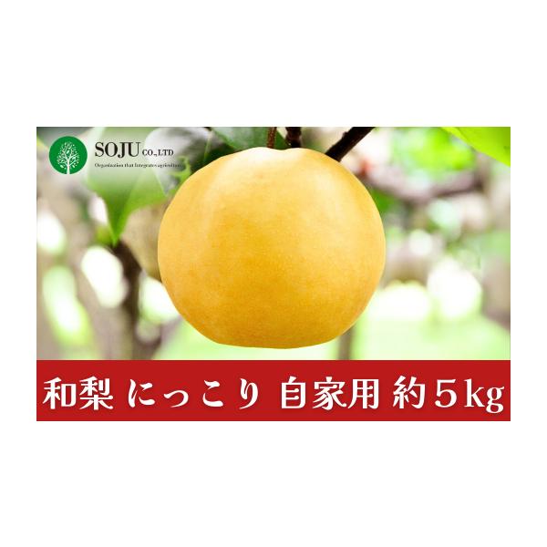 容量5〜16個（合計約5kg）※生育状況により、個数が前後する場合がございます。消費期限出荷日より7日程度（到着次第、お早めにお召し上がりください。）発送期日申込完了から1〜2週間程度※天候や生育状況により、発送開始・終了時期が前後する場合...