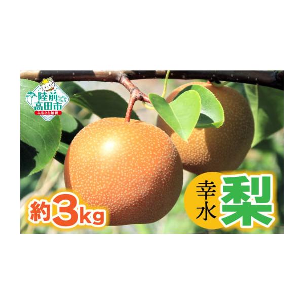 容量梨(品種：幸水)： 約3kg消費期限なまものですので、新鮮なうちにお早めにお召し上がりください。発送期日令和8年9月上旬頃から受付順に発送いたします。※あくまでも目安でございます。天候次第で変更なることがございます。配送常温 時間指定 ...