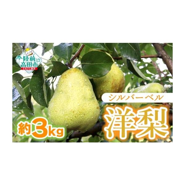 容量 約3kg消費期限なまものですので、新鮮なうちにお早めにお召し上がりください。発送期日令和8年11月下旬頃から受付順に発送いたします。配送常温 時間指定 別送申込期日令和8年11月上旬頃まで受付事業者熊谷農園申込条件何度も申し込み可