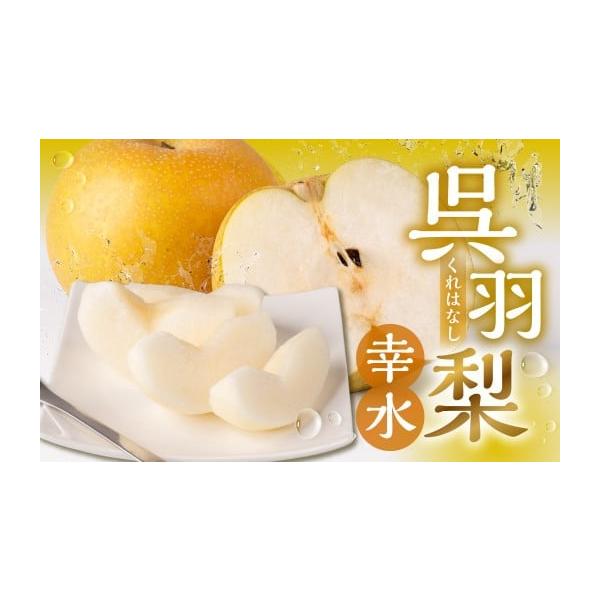 容量5kg（14個〜18個）＊個数はお選びいただけません。消費期限生ものですので商品到着後、すみやかに開封しお早めにお召し上がりください。発送期日2026年8月25〜9月10日に順次発送いたします。配送常温 時間指定 別送申込期日〜2026...