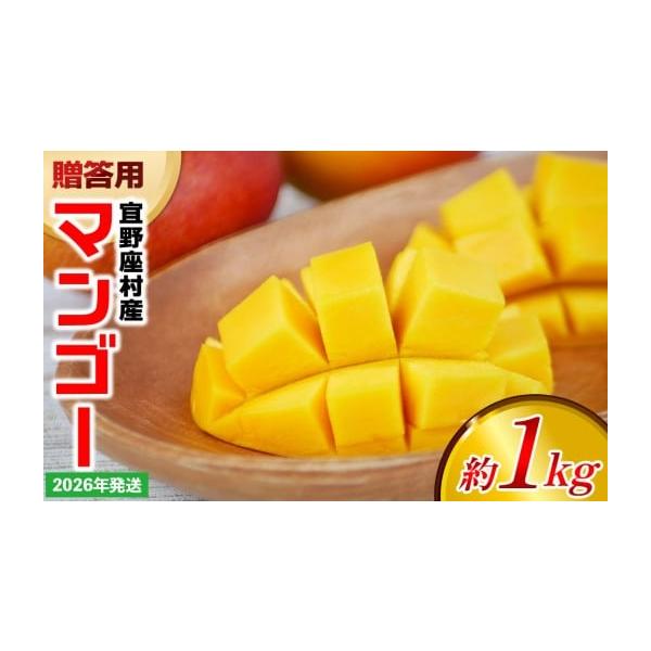 容量宜野座村産　贈答用マンゴー 約1kg化粧箱（2〜3玉）※玉数は選べません消費期限果物で賞味期限が短いため商品到着後は冷蔵庫で冷やし、お早めに召し上がりください発送期日2026年7月初旬〜8月中旬にかけて順次発送予定配送冷蔵 別送申込期日...