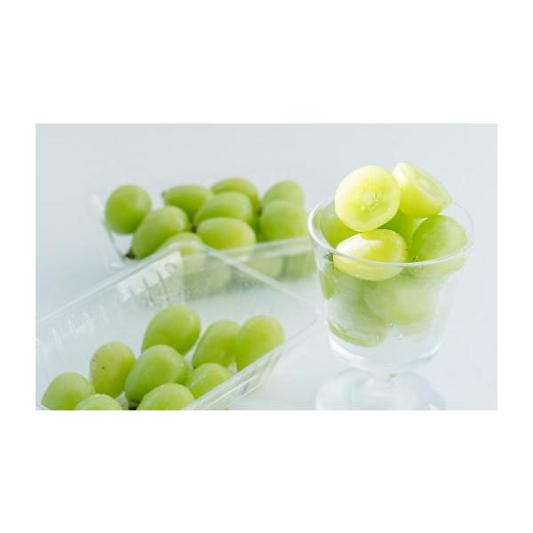 容量270g×2パック（計540g）消費期限【賞味期限】発送日から4日（※到着後はなるべくお早めにお召し上がりください）発送期日2026年8月上旬〜2026年9月上旬発送配送冷蔵 時間指定 別送申込期日2026年8月10日まで寄附受付事業者...