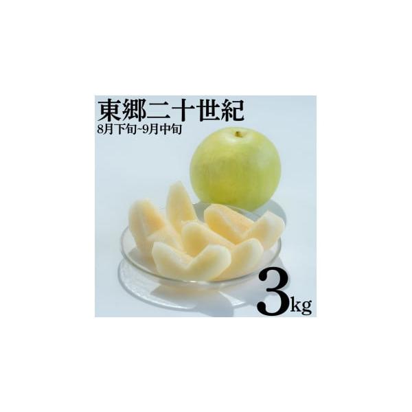 容量二十世紀3kg(8〜9玉)発送期日8月下旬〜9月中旬頃※生育の関係上発送時期が前後する可能性があります。※ご寄附いただいた順に発送いたしますので、お礼品の発送が時期の終わり頃になる可能性があります。配送常温 時間指定 別送申込期日入金期...