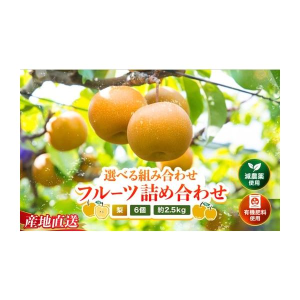 容量梨詰め合わせ6個 (約2.5kg) ※大きさによって個数が変動する場合がございます。【ご注意】●その日の収穫状況や品種により大きさが異なります●返礼品が到着しましたら、箱から出して傷みがないか確認してください。●返礼品到着後は、箱から出...