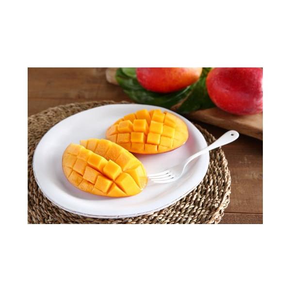 容量お申込を急遽停止する場合がございます。お申込はお早めにお願いします。１kg（２〜３玉程度）※糖度15度以上消費期限到着後冷蔵で１週間程度発送期日入金確認後、2026年7月〜8月初めまで発送※３日以上不在にされる場合は、お早目にご連絡くだ...