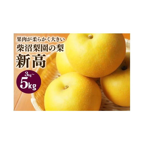 容量梨(新高)約5kg×1箱※3L〜7Lサイズ※6〜14個入り消費期限美味しくお召し上がりいただくためには到着後約1週間。発送期日入金確認後、9月下旬〜10月上旬より順次発送予定となります。※長期不在等での返品や、不在等でお受取が遅れて傷み...