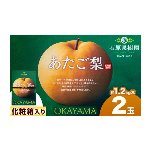 容量約1.2kg×2玉消費期限お早めにお召し上がりください。発送期日11月中旬-12月下旬頃より発送予定配送常温 時間指定 別送申込期日11月中旬頃まで(予定数量に達し次第終了)事業者 石原果樹園申込条件何度も申し込み可