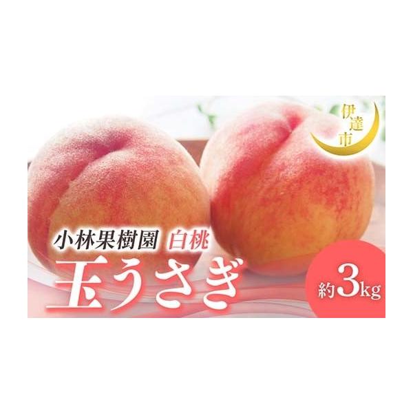 容量玉うさぎ 約3kg (8〜12玉)※収穫状況により発送時期が前後するため、前もって発送日を確定しにくい状況について何卒ご理解いただければ幸いです。※沖縄・離島へのお届けはできかねます。※桃はとてもデリケートな果物です。取扱いには十分ご注...