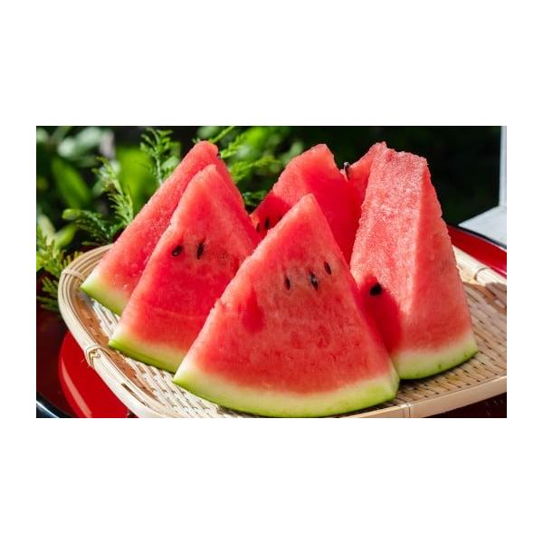 容量約8kg消費期限賞味期限：発送日から5日以内発送期日2026年5月上旬〜2026年6月下旬発送予定。配送常温 時間指定 別送申込期日2026年06月15日まで事業者日本フルーツ株式会社熊本事業所申込条件何度も申し込み可