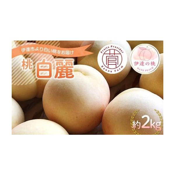 容量白麗 約2kg (5〜7玉)※収穫状況により発送時期が前後するため、前もって発送日を確定しにくい状況について何卒ご理解いただければ幸いです。※沖縄・離島へのお届けはできかねます。※桃はとてもデリケートな果物です。取扱いには十分ご注意くだ...