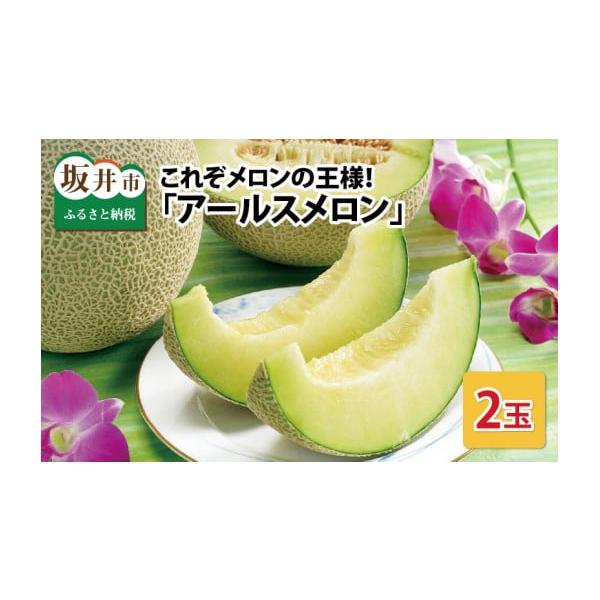容量アールスメロン 2玉 消費期限収穫日より常温で10日以内発送期日【先行予約・2026年9月中旬以降順次発送予定】※長期ご不在の場合、お申し込み時【備考欄】に「不在期間〇〇／〇〇〜〇〇／〇〇」とご記入ください。尚、長期ご不在や住所の誤り等...
