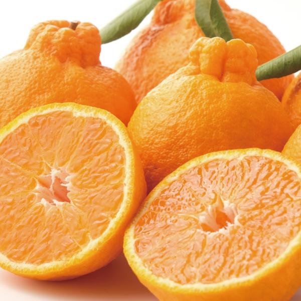 【発売日：2023年03月02日】ヘタのある果梗部が盛り上がっているのが特徴で、甘みが強く、ほどよい酸味があり濃厚な味わいです。果肉はやわらかくジューシーで、ぽんかんに似た香りを持ちます。 清美オレンジとポンカン、両方の特徴であるジューシー...