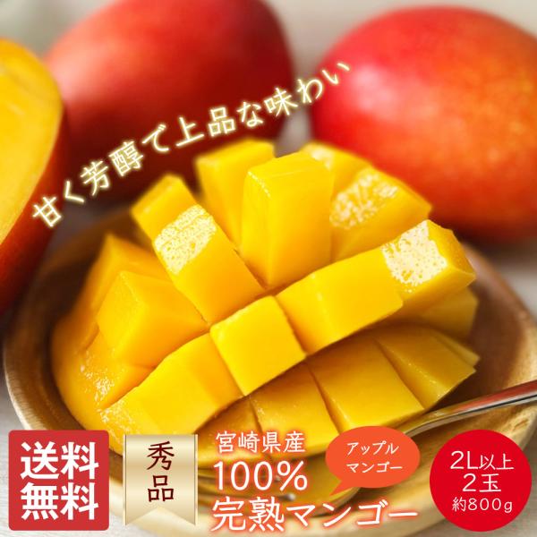 通年温暖な気候と長い日照時間で太陽に恵まれた宮崎県。宮崎県の完熟マンゴーは、県統一の栽培方法・収穫方法・選果方法など全てにおいて厳格な基準のもと、温室ハウス内で大切に育てられます。冬場でも室温15度以上に保ち丁寧に育てられた果実は、赤く色づ...