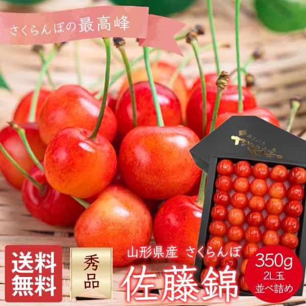 【発売日：2026年06月24日】山形県のさくらんぼは生産量が全国第1位で、全国の生産量の約75％を占める山形県を代表する果物です。山形県は、夏は暑く梅雨のときも雨が少なく、風も強くないなど、さくらんぼが育つのに適した気候であることから、山...