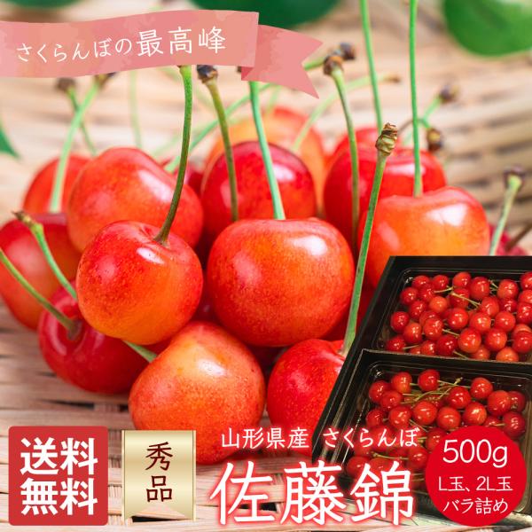 【発売日：2026年06月17日】山形県のさくらんぼは生産量が全国第1位で、全国の生産量の約75％を占める山形県を代表する果物です。山形県は、夏は暑く梅雨のときも雨が少なく、風も強くないなど、さくらんぼが育つのに適した気候であることから、山...