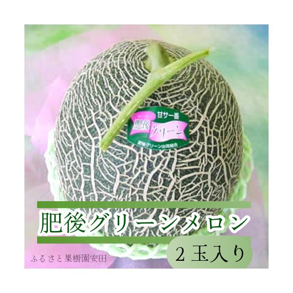 肥後グリーンメロン２玉入り（4L〜6Lサイズ）（1玉約２〜2.5kg）の2玉入り収穫したてで新鮮！！収穫に合わせての発送となりますので、掲載の発送日よりお待たせする場合がございます。
