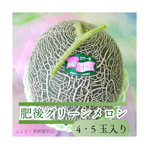 肥後グリーンメロン4玉〜5玉入り（2L〜3Lサイズ）（1玉約1.5〜2kg）の4玉または5玉入りになります。収穫したてで新鮮！！収穫に合わせての発送となりますので、掲載の発送日よりお待たせする場合がございます。