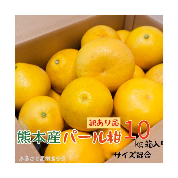 熊本産パール柑（ご家庭用）10kg箱入り（内容量8〜９kg）14玉〜28玉入りのサイズ混合『パール柑』の命名の由来天草地方は上島・下島に分けられ,大小120の島々からなります。真珠の養殖が随所で見られこのルートが天草パールラインと呼ばれそれ...