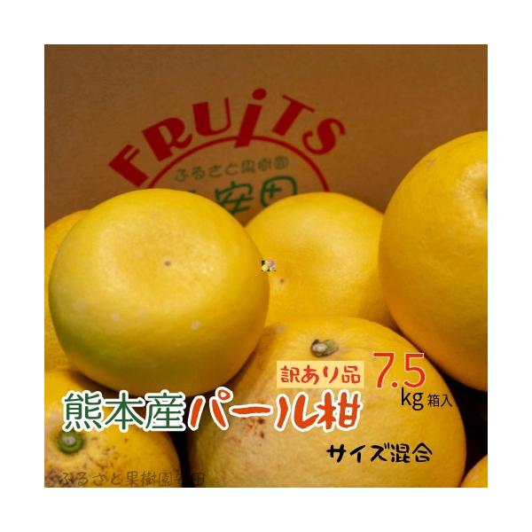 熊本産パール柑（ご家庭用）7.5kg箱入り（内容量6〜7kg）10玉〜18玉入りのサイズ混合『パール柑』の命名の由来天草地方は上島・下島に分けられ,大小120の島々からなります。真珠の養殖が随所で見られこのルートが天草パールラインと呼ばれそ...