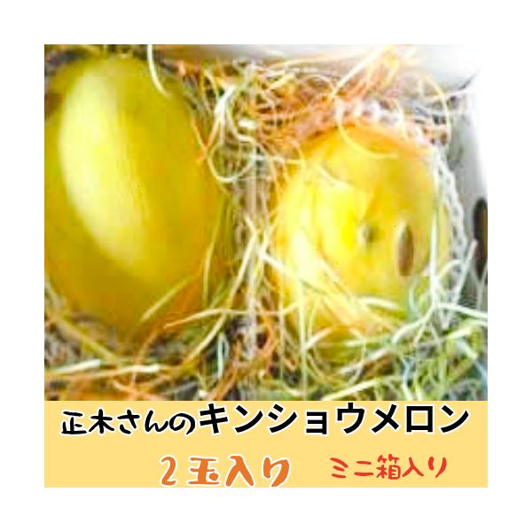 正木さんのキンショウメロンミニ箱２玉入り（１玉あたり約500ｇ〜700ｇ）