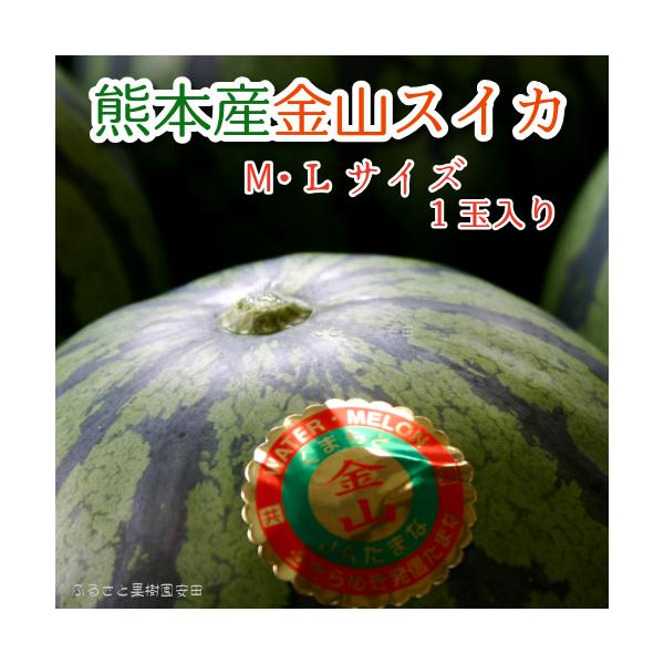 西川さんの金山スイカМサイズまたはLサイズの1玉入り約５kg〜6kg）サイズの指定はお受けできません。