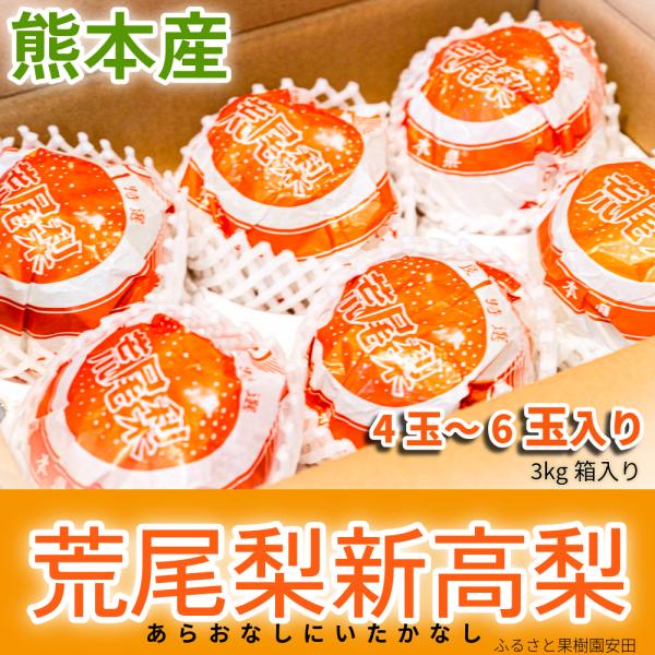荒尾ジャンボ梨 新高梨4玉〜7玉入り３kg箱入り熊本産 荒尾梨 産地箱入り 送料無料（北海道・東北・沖縄別途送料）９月10日頃から順次発送致します。クール便でのお届けとなります。収穫の状況によってはお待たせする場合がございます。サイズの指定...